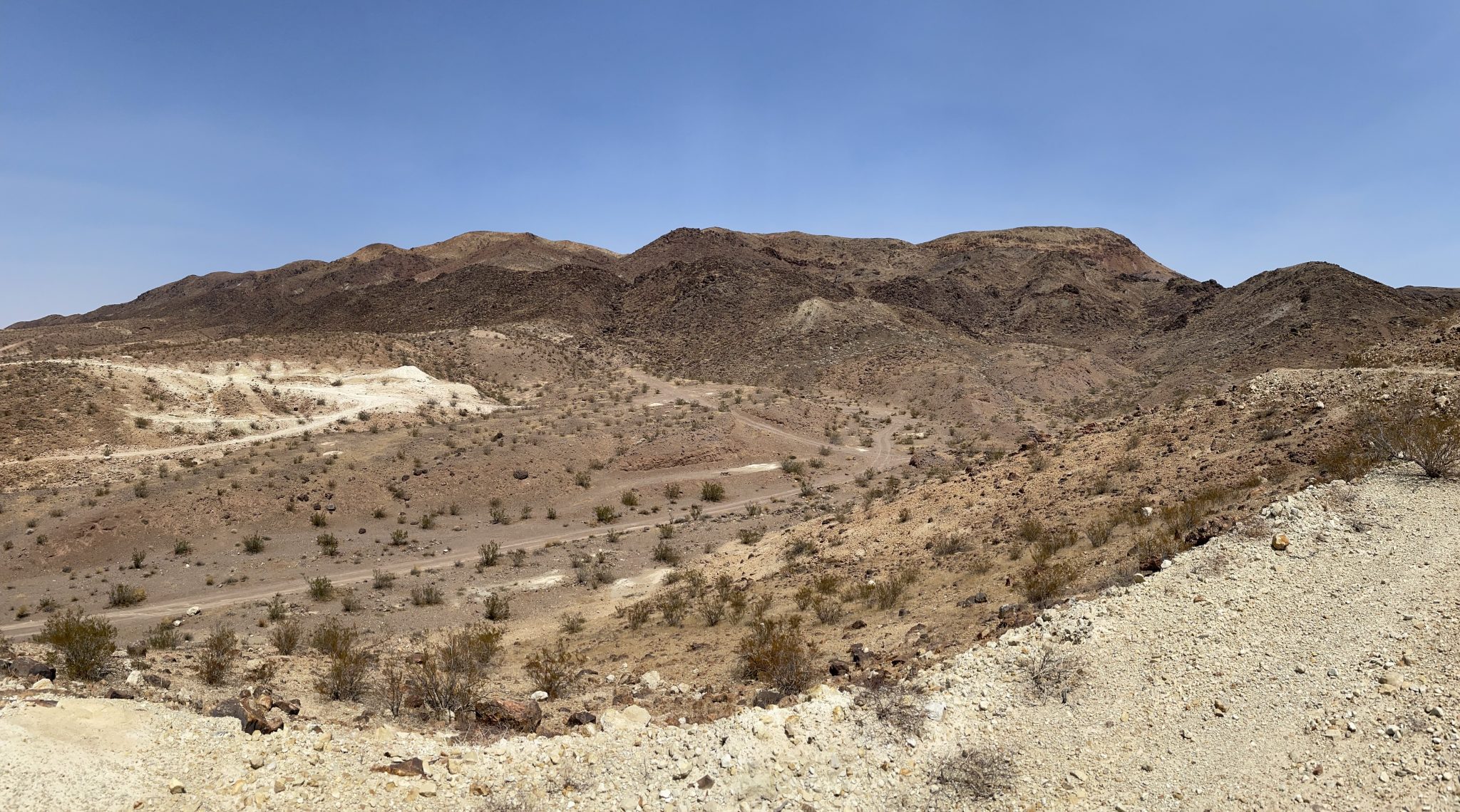 Calico Project | Apollo Silver