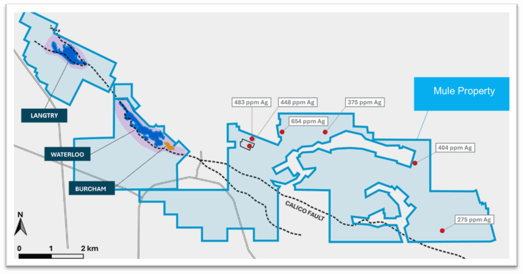 Four Paths to Growth: Apollo’s Calico Project | Apollo Silver